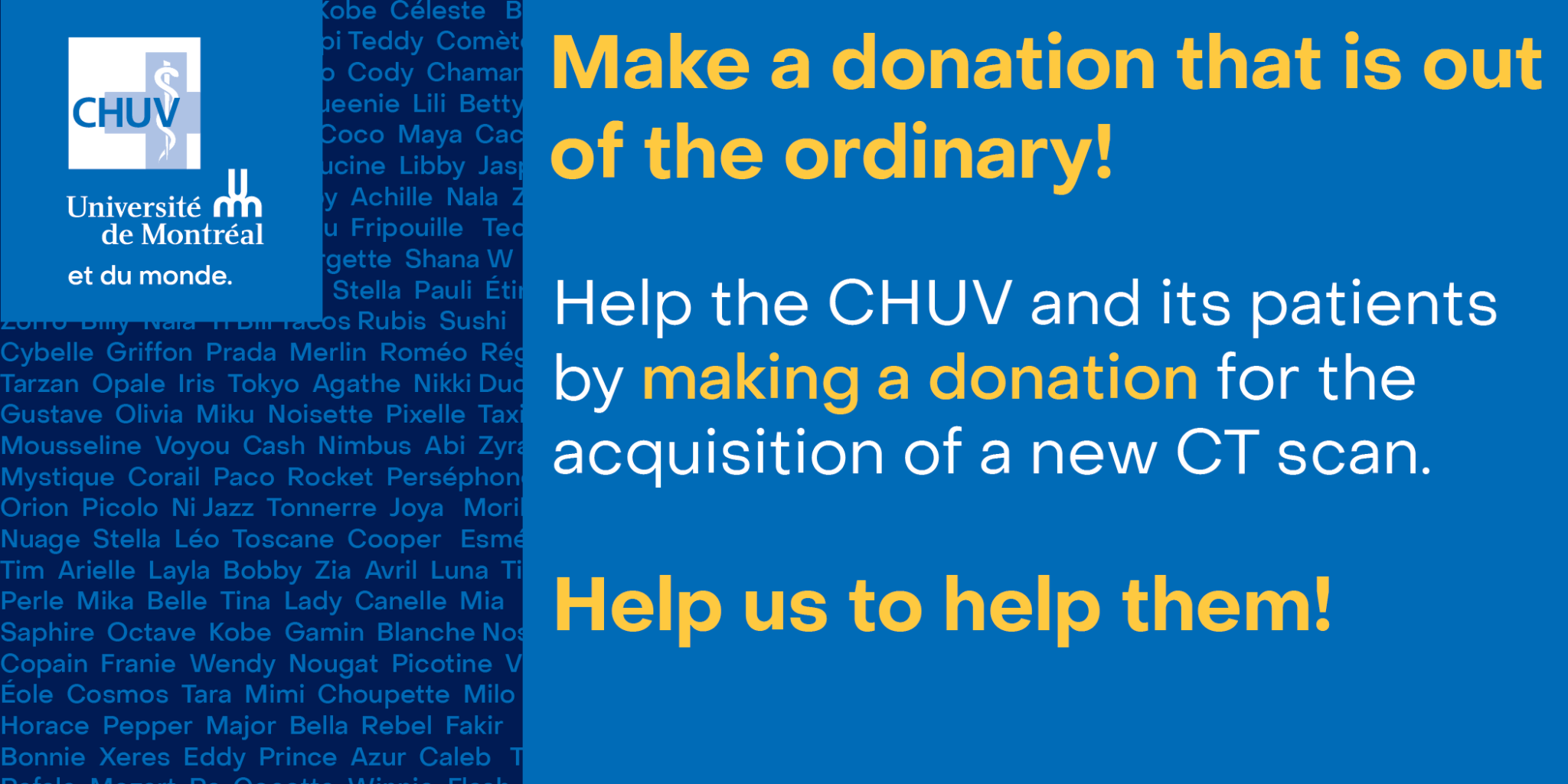 The CHUV - Internet English