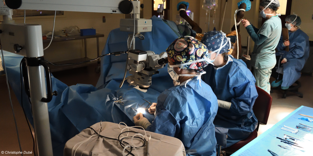 La chirurgie de cataracte chez le cheval adulte maintenant offerte au ...
